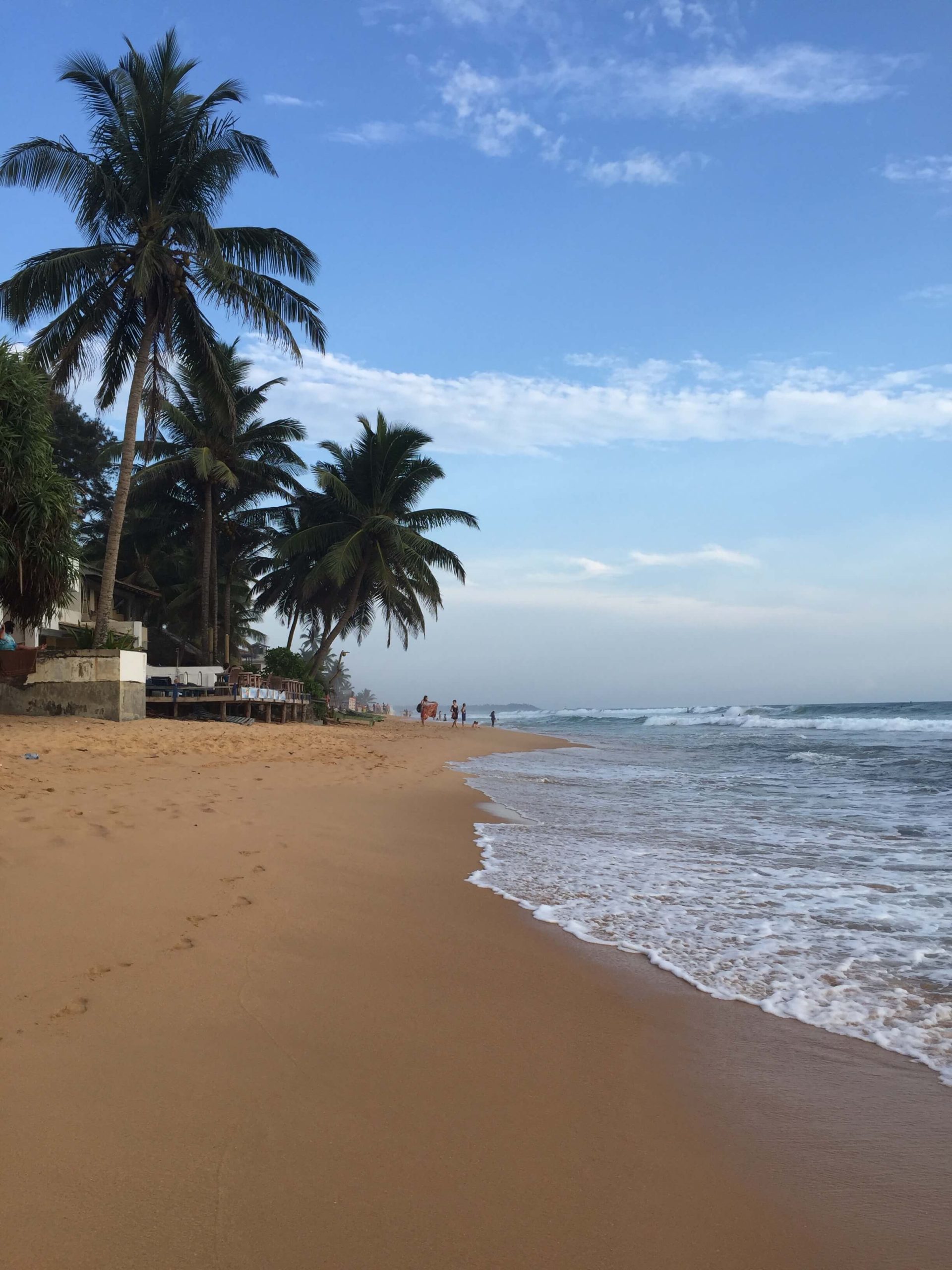 Luipaarden spotten, surfen en cultuur snuiven - Sri Lanka (deel III ...